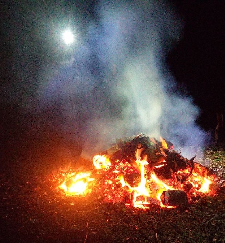 Campfire Experiment – Flickernet